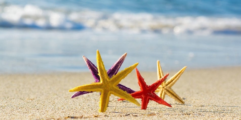 Holiday carry over guide: how to carry over annual leave
